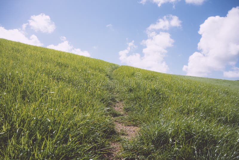 Central Path Made through Angled Grass Hillside Stock Photo - Image of ...