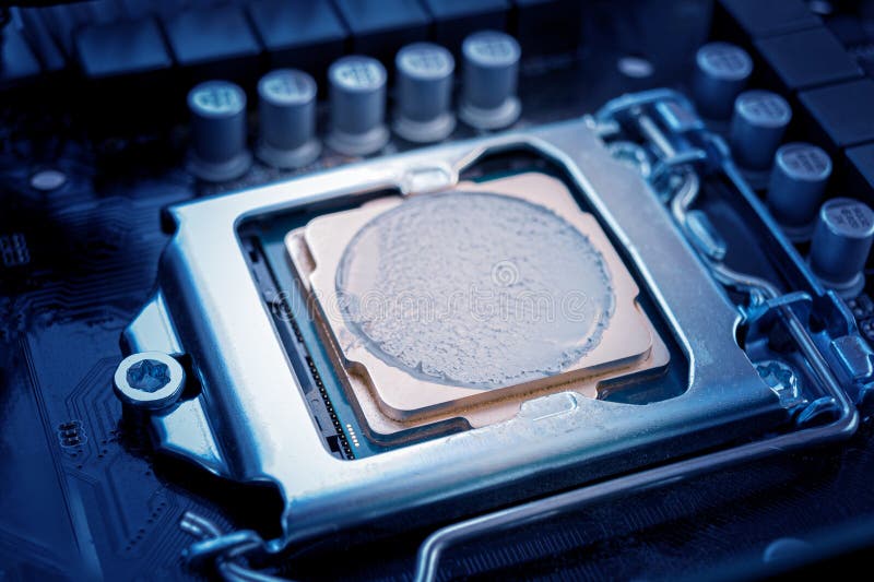 Central Processing Unit Cpu Computer Server Motherboard Socket Computer Components Isolated On