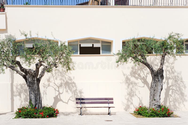 Central Square with Olive Trees in Sperlonga, Italy Stock Photo - Image ...