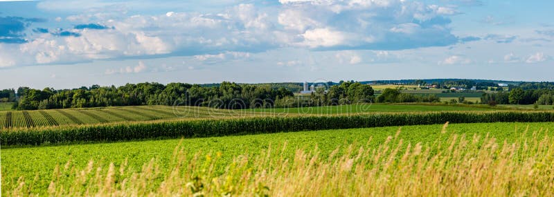 Central Wisconsin Farmland in Summer Stock Image - Image of corn ...