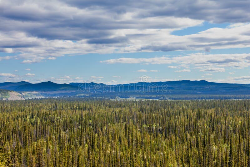 Central Yukon T Canada Taiga and Ogilvie Mountains Stock Photo - Image ...