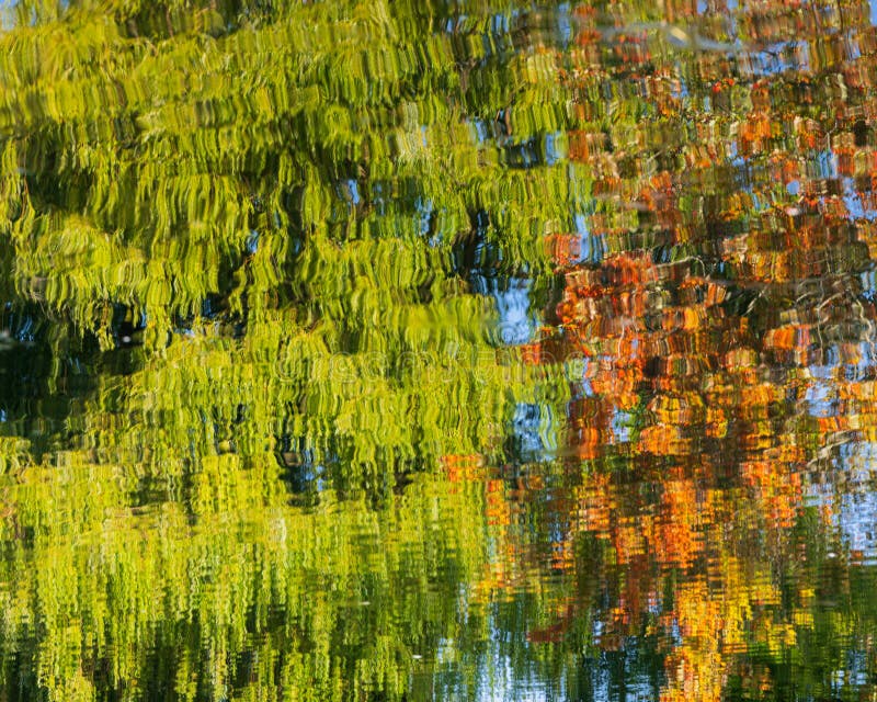 Centre Island Autumn Reflections Stock Photo - Image of woods, fall ...