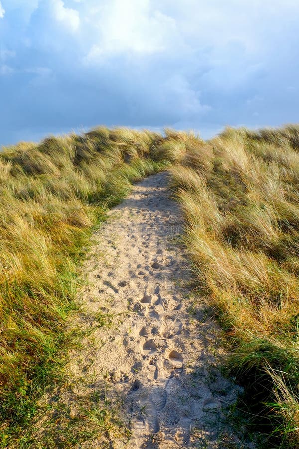 Sandy Pathway Running through Windy Grass Sand Dunes, Stormy Sky ...
