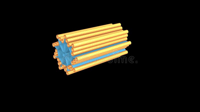 Centriole animation stock video. Video of lockdown, cell - 318902171