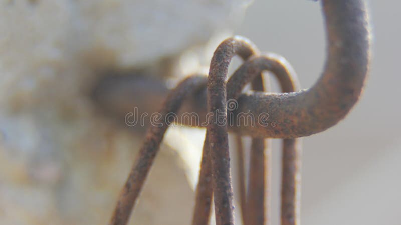 Centuries-old Rusted Nails. Rotten Piece of Iron Stock Photo - Image of ...