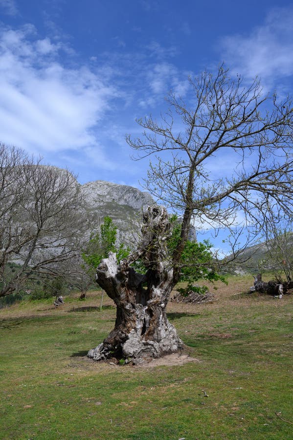 Canrabrian Mountains Stock Photos - Free & Royalty-Free Stock Photos ...