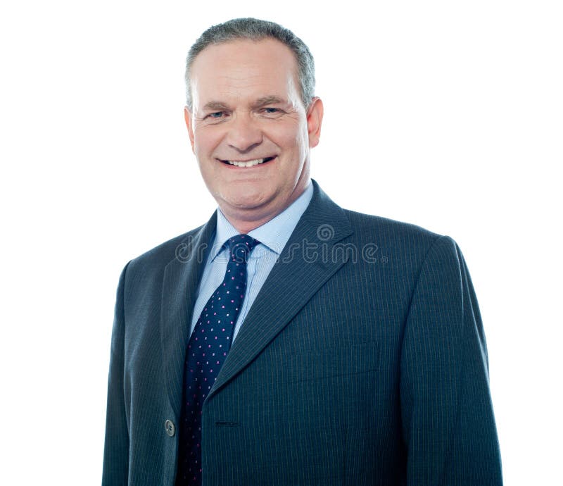 CEO posing, studio shot stock photo. Image of corporate - 24629236