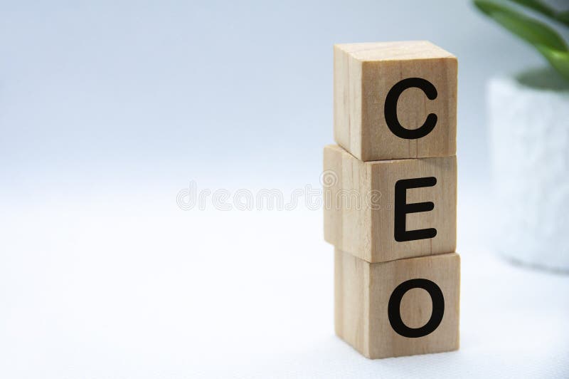 CEO Text on Wooden Blocks with Customizable Space for Text or Ideas ...