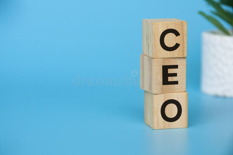 CEO Text on Wooden Blocks with Customizable Space for Text or Ideas ...
