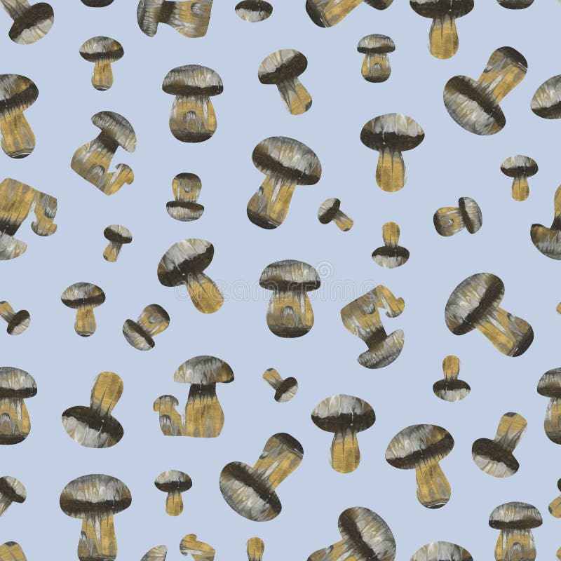 Mushrooms Boletus Edulis Stock Illustrations – 602 Mushrooms Boletus ... Mushrooms Boletus Edulis Stock Illustrations – 602 Mushrooms Boletus ...