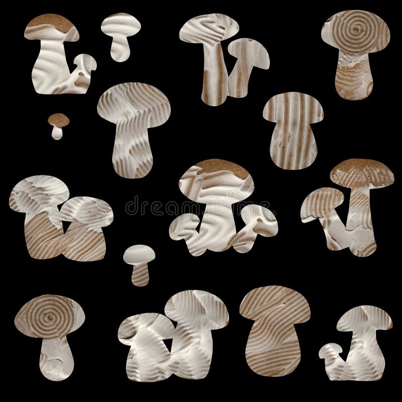 Cep, Boletus Edulis, Porcini. Edible Mushrooms Vector Set of Texture ... Cep, Boletus Edulis, Porcini. Edible Mushrooms Vector Set of Texture ...