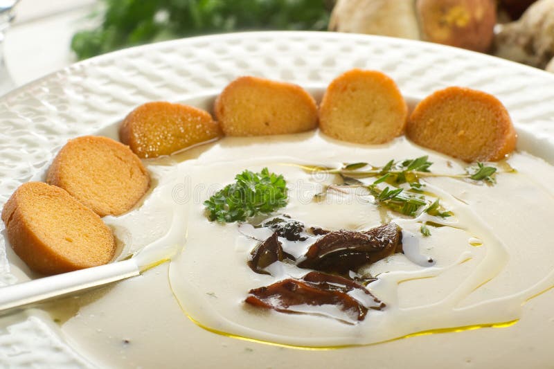 Cep soup stock photo. Image of cuisine, olive, elegance - 14839818