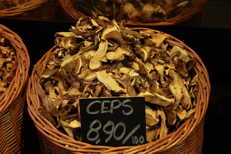 Ceps stock image. Image of ceps, fungi, forest, sliced - 19270251