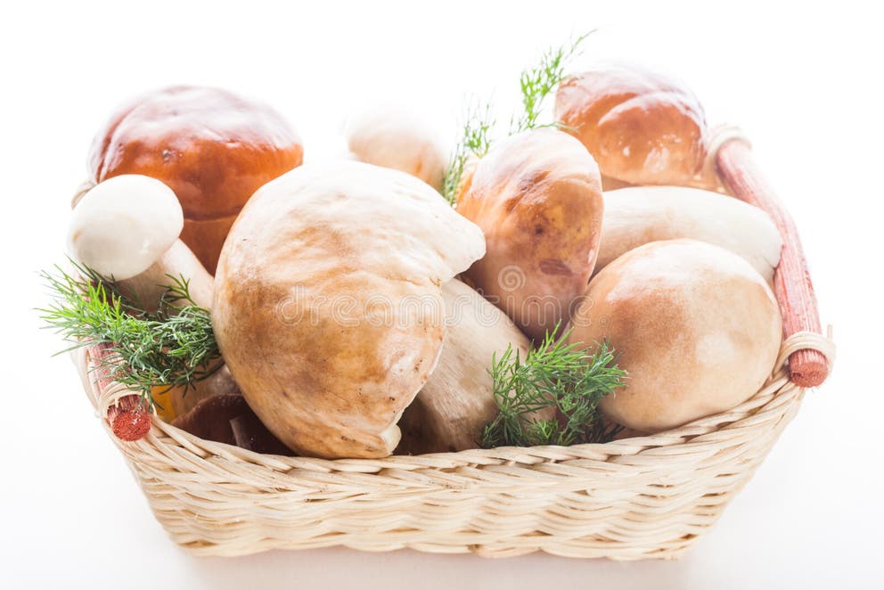 Ceps in the basket stock image. Image of macro, gourmet - 64877103