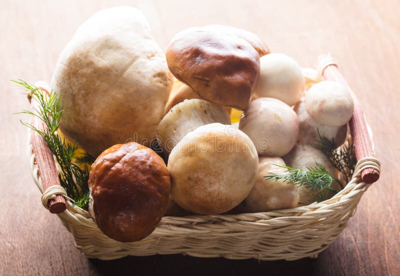 Ceps in the basket stock image. Image of basket, white - 34811811