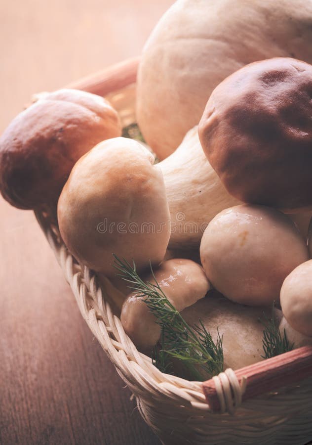 Ceps in the basket stock photo. Image of food, healthy - 41086014