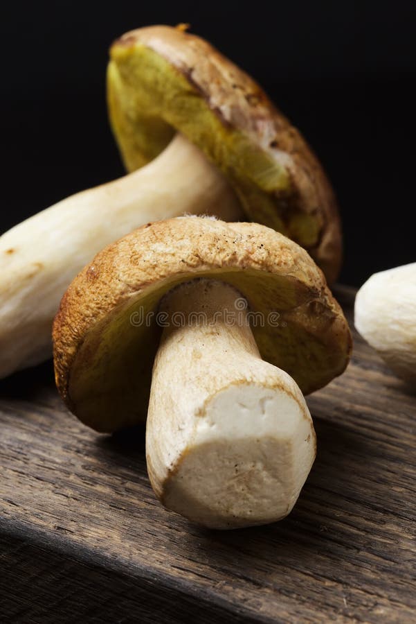 Ceps on wooden board stock image. Image of food, cutting - 57056697
