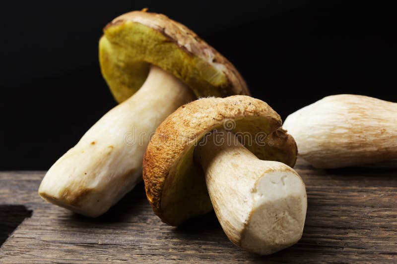 Ceps on wooden board stock photo. Image of plant, closeup - 57056702