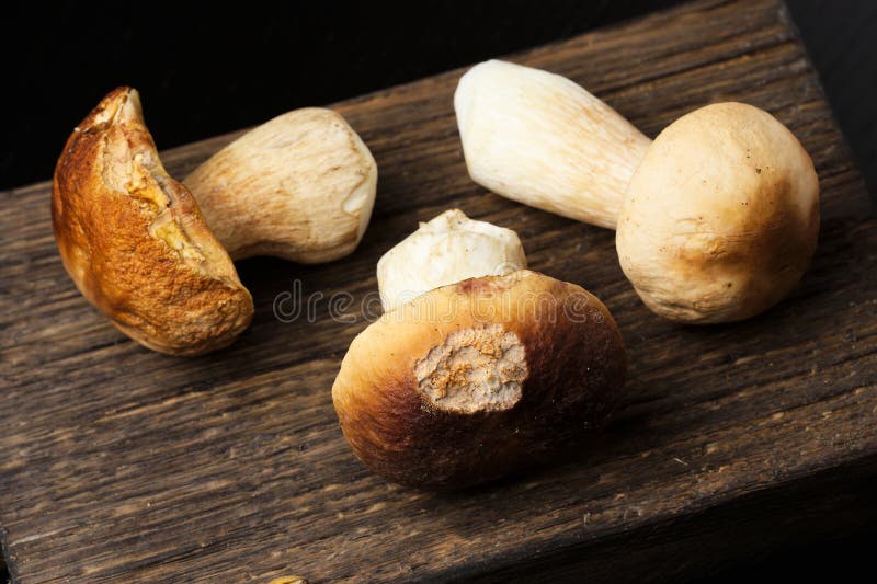 Ceps on wooden board stock photo. Image of natural, macro - 57056900