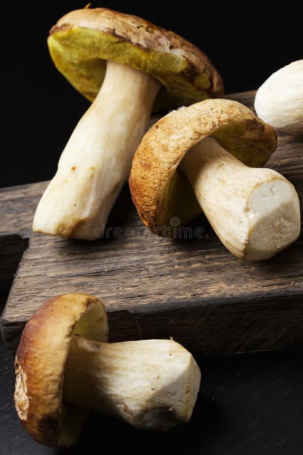 Ceps on wooden board stock photo. Image of porcino, boletus - 57057016