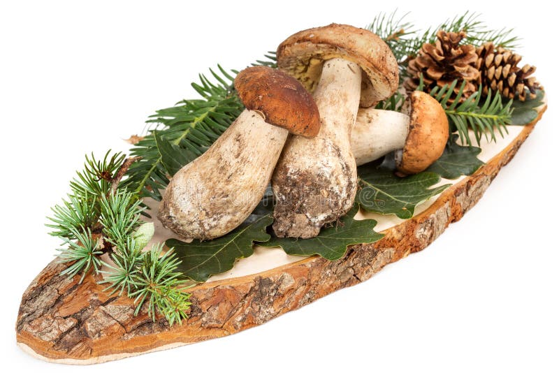 Ceps Y Hojas En Tabla De Cortar Foto de archivo - Imagen de crudo, cono ...