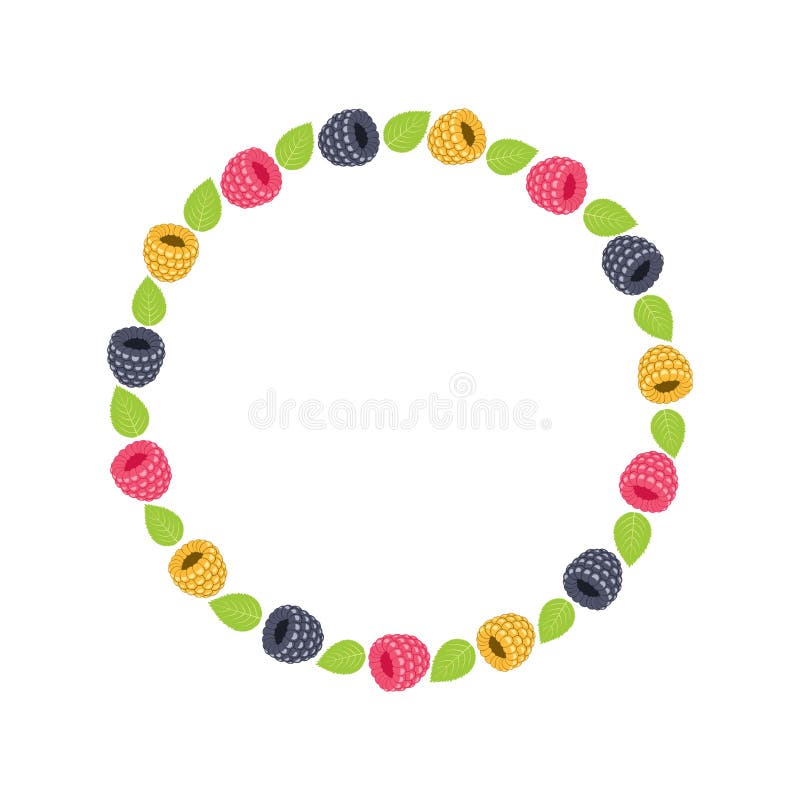 Blackberry , Raspberry and Yellow Raspberry Frame on White Background ...