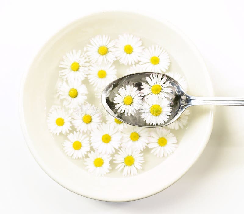 Ceramic Bowl with Daisy Flowers and Spoon Stock Photo - Image of life ...