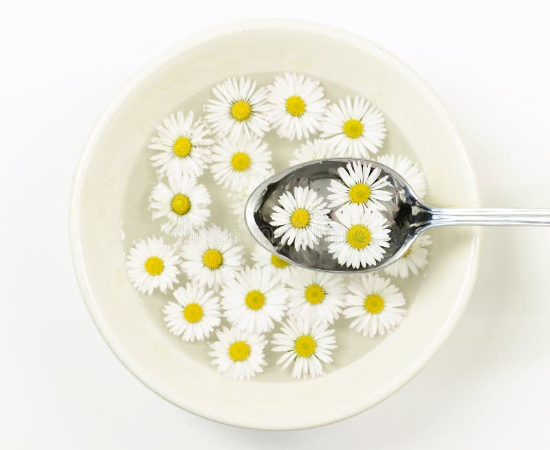 Ceramic Bowl with Daisy Flowers and Spoon Stock Photo - Image of ...