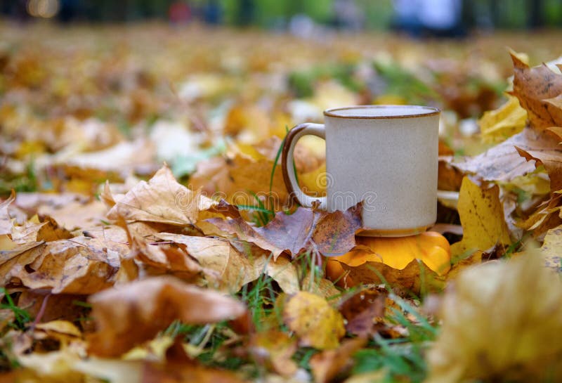 Ceramic Cup on Autumn Leaves. Stock Image - Image of blue, table: 198064411