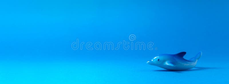 928 Light Blue Dolphin Stock Photos - Free & Royalty-Free Stock Photos ...