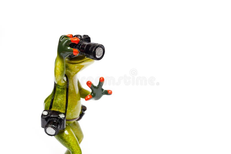 Ceramic Figurine of a Photographer S Frog with Two Cameras on a White ...
