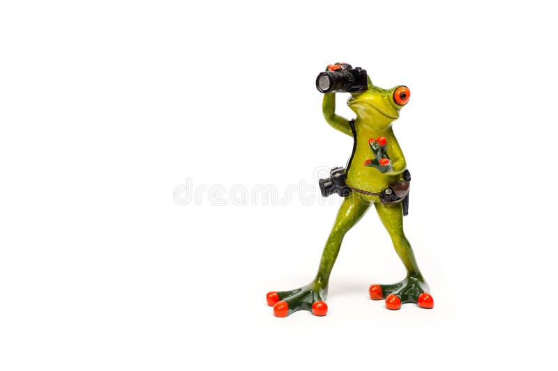 Ceramic Figurine of a Photographer S Frog with Two Cameras on a White ...