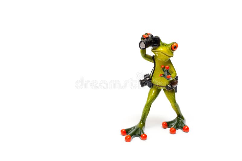Ceramic Figurine of a Photographer S Frog with Two Cameras on a White ...