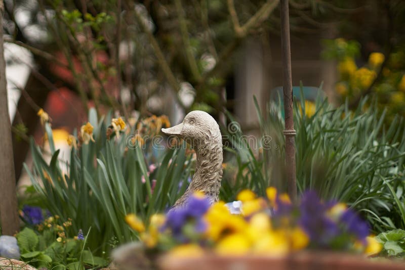 Ceramic Goose in the Flower Garden Stock Photo - Image of decor, design ...