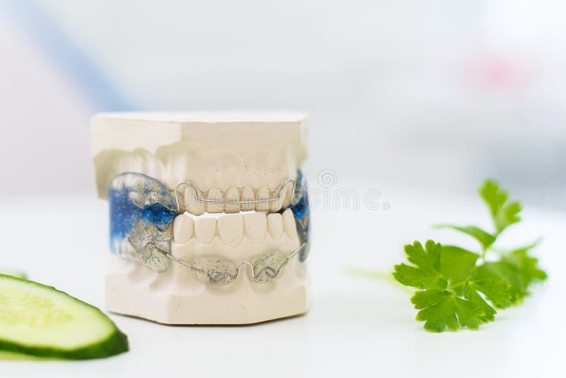 Ceramic Jaws with a Staple Lie with Sliced Cucumber Stock Image - Image ...