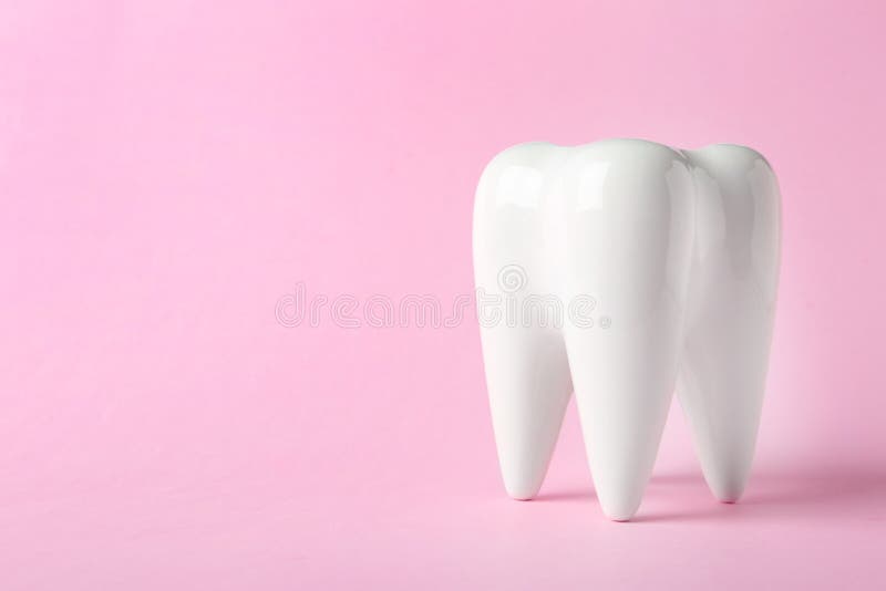 Ceramic Model of Tooth on Color Background. Stock Image - Image of oral ...