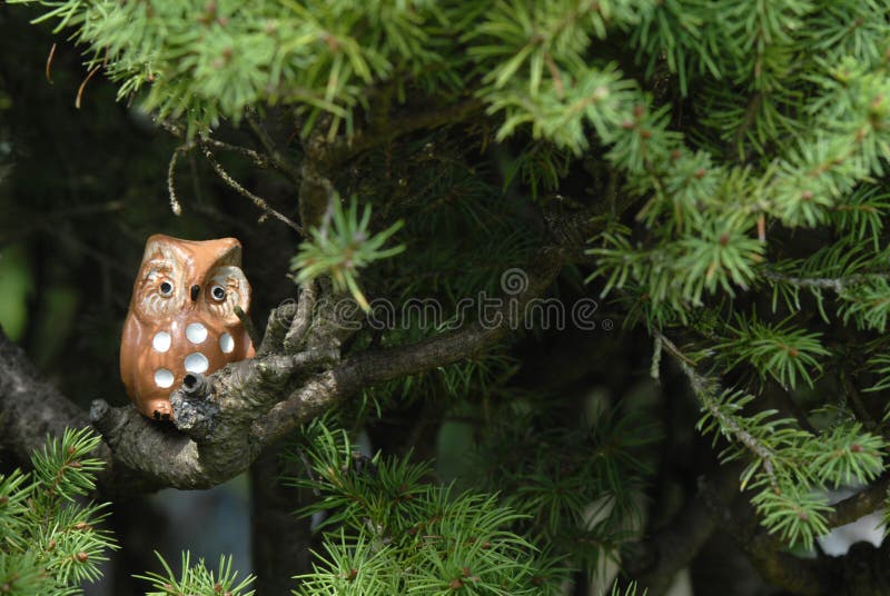 Ceramic Owl on the Branch of a Fir Tree Stock Photo - Image of humour ...