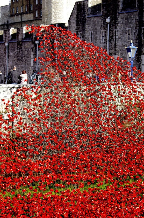 Ceramic Poppies, in Rememberance of World War One Editorial Stock Image ...