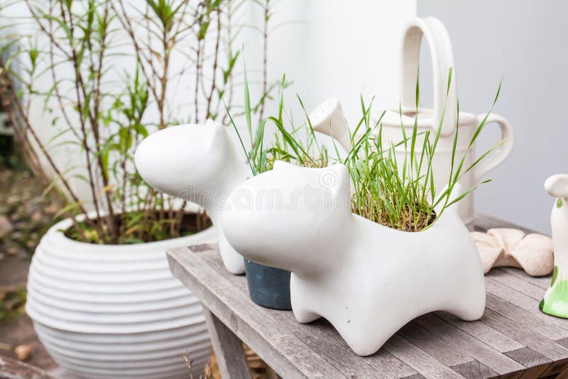 Ceramic pot dog stock image. Image of modern, white, ceramics - 34955385