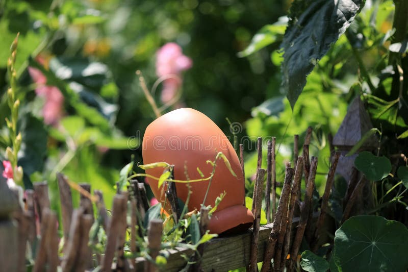 Ceramic pot stock photo. Image of summer, installation - 328170970