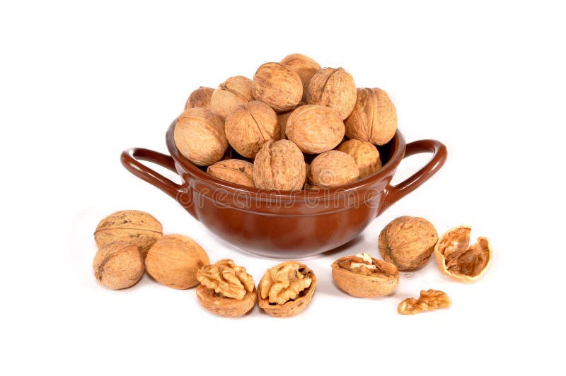 Ceramic vase with walnuts stock photo. Image of septum - 22010926