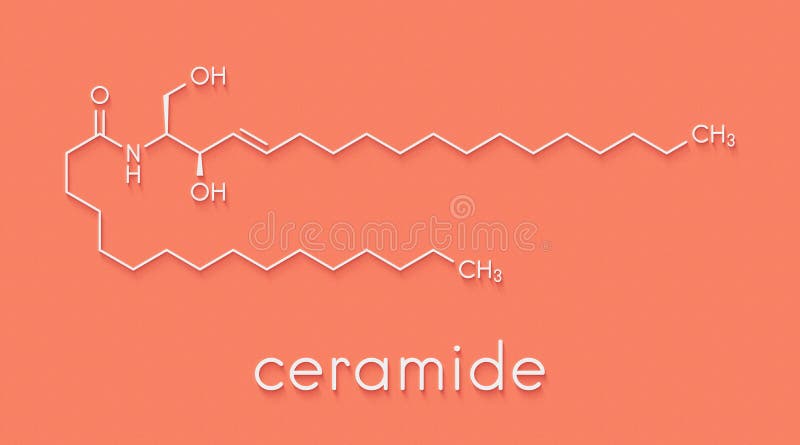 Ceramide Cell Membrane Lipid Molecule. Skeletal Formula. Stock ...