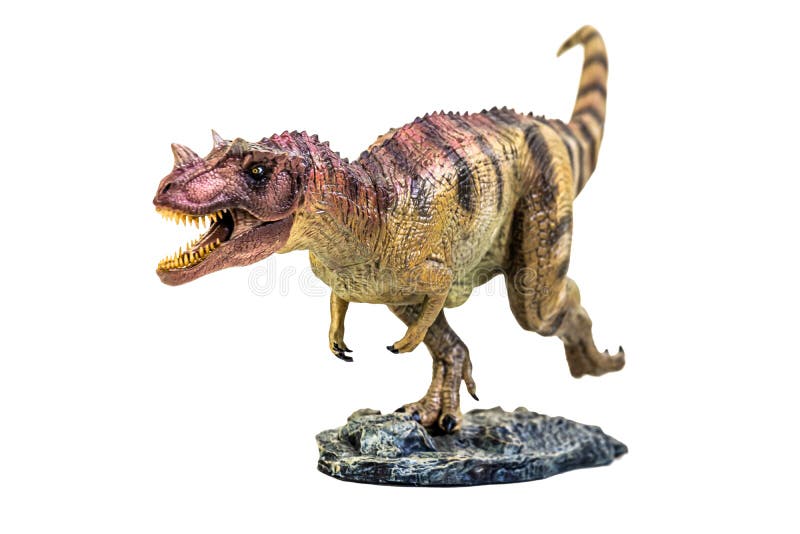 Ceratosaurus Dinosaur on White Isolate Background Clipping Path Stock ...