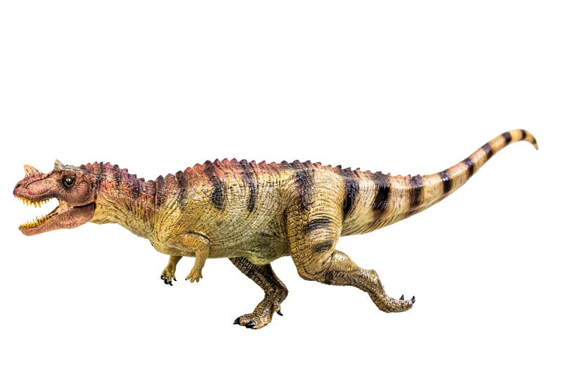 Ceratosaurus Dinosaur on White Isolate Background Clipping Path Stock ...