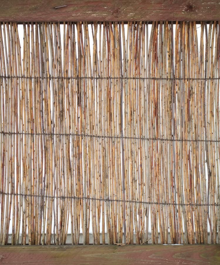 Cerca de vime imagem de stock. Imagem de filial, fazenda - 12723663