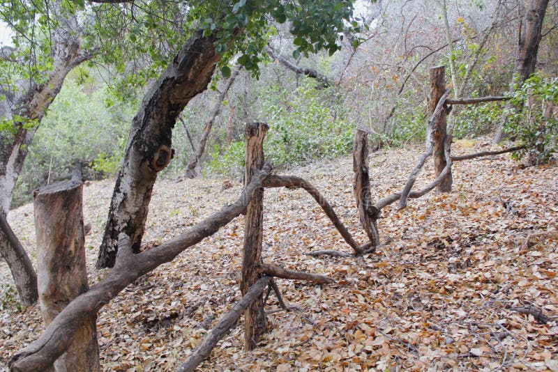 Trayectoria del rastro imagen de archivo. Imagen de cerca - 113199591