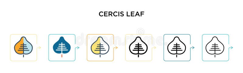 Cercis Siliquastrum Stock Illustrations – 10 Cercis Siliquastrum Stock ...