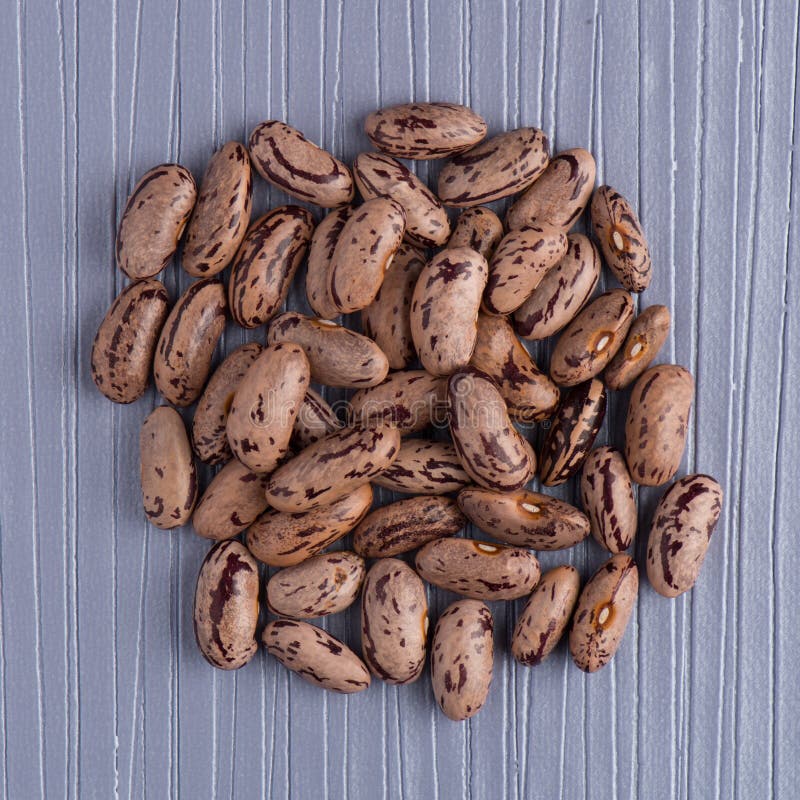Cercle Des Haricots De Pinto Photo stock - Image du poussin, rein ...