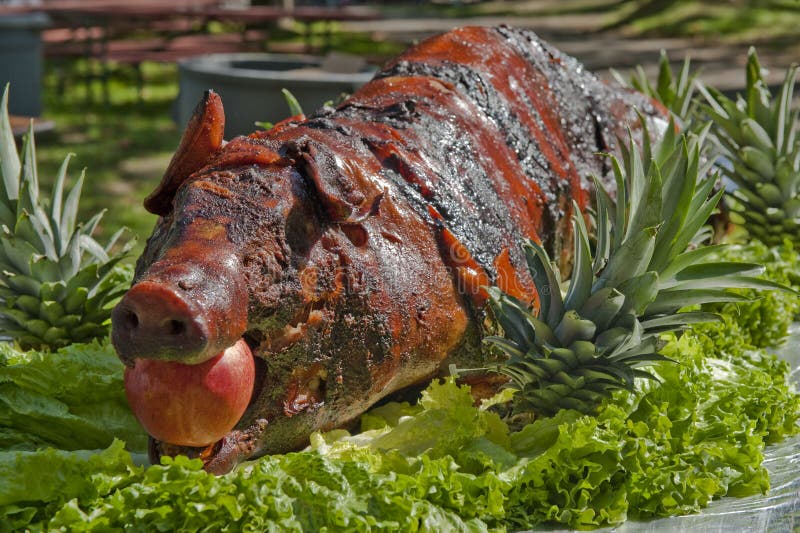 Cerdo asado imagen de archivo. Imagen de vacaciones, banquete - 11023261