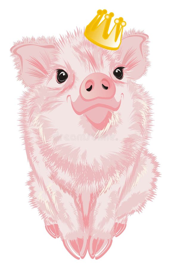 El cerdo dice gruñe stock de ilustración. Ilustración de divertido ...